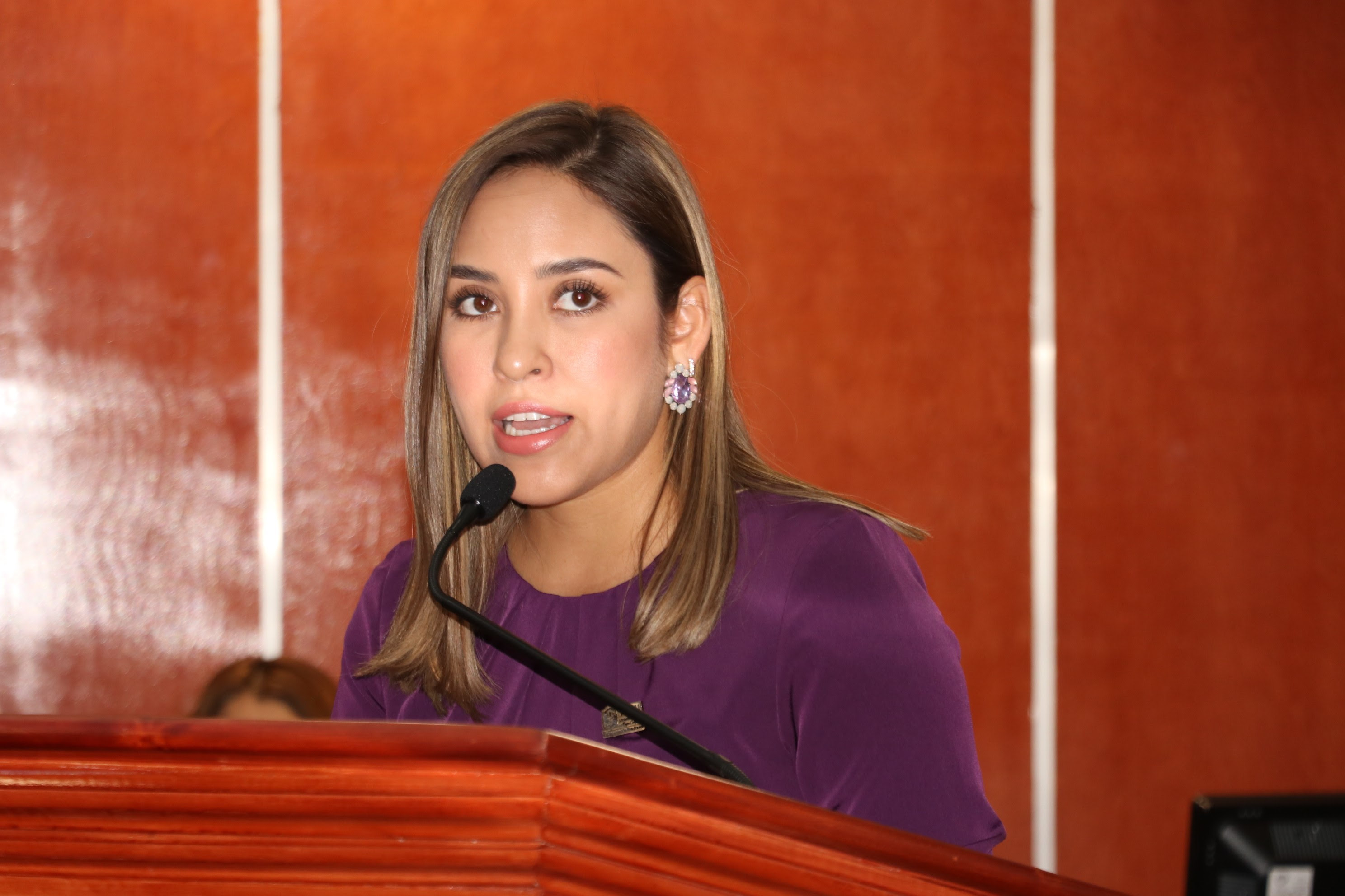 Sin patria potestad los Uxoricidas, propone Diputada del PRI ...