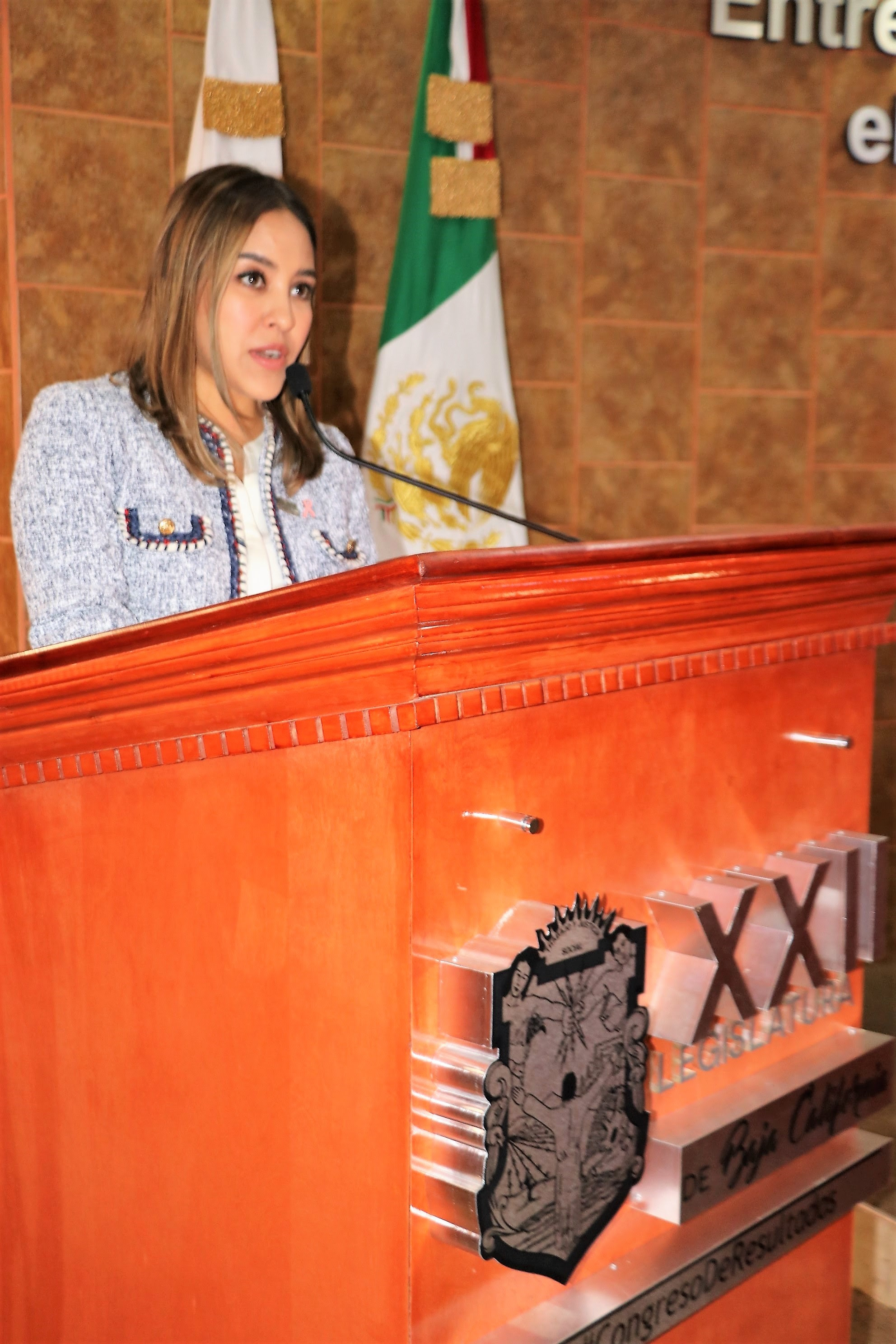 URGE PATRICIA RÍOS A PRESIDENTE MUNICIPAL DE MEXICALI IMPLEME INMUJER ...