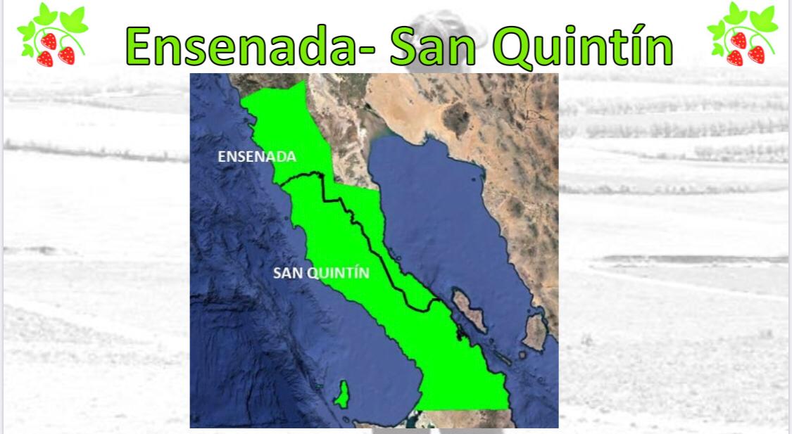 DIPUTADA MIRIAM CANO ACLARA LÍMITES TERRITORIALES DE SAN QUINTÍN ...