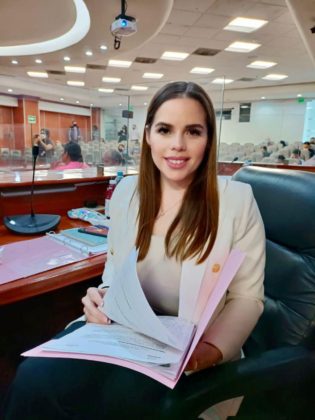 PROPONE DIP. MONSERRAT RODRÍGUEZ QUE LA ADMINISTRACIÓN ESTATAL ...