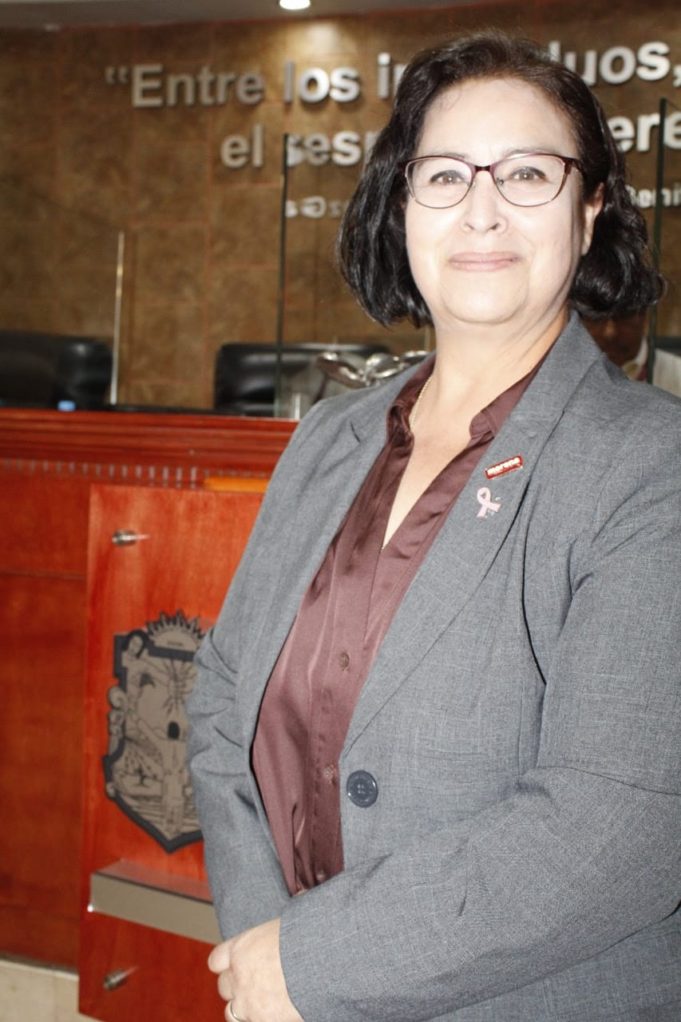 PROPONE DIPUTADA ROCÍO ADAME CREAR EL CÓDIGO DE FAMILIA PARA BAJA ...